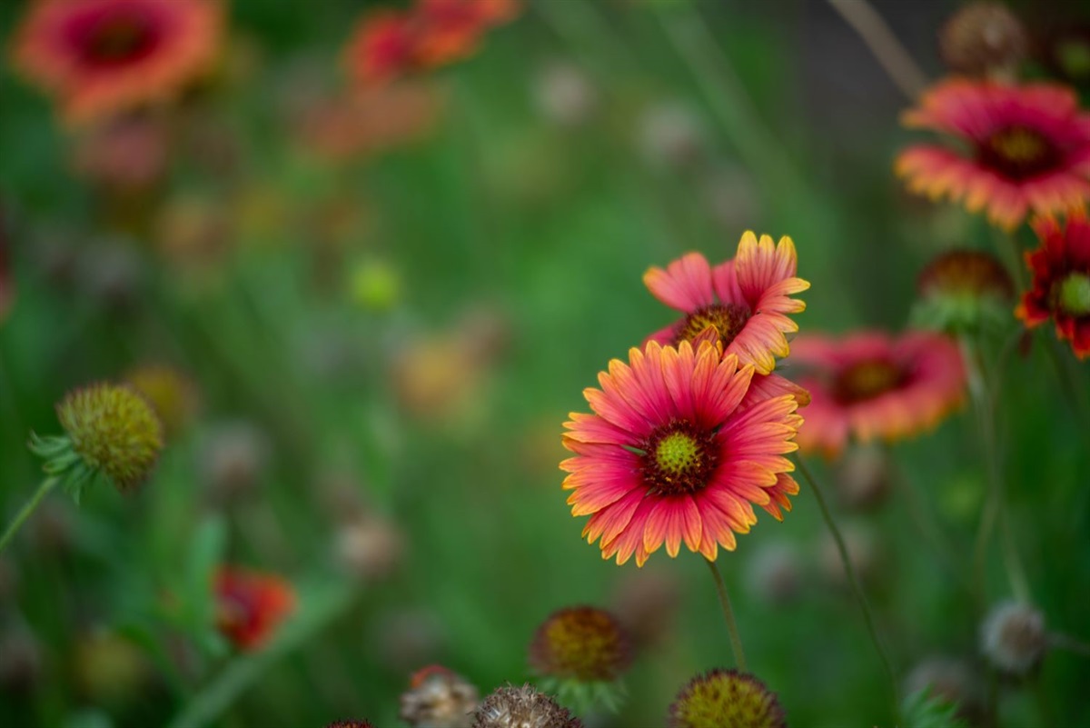 ADA Policy - Wilmington, NC