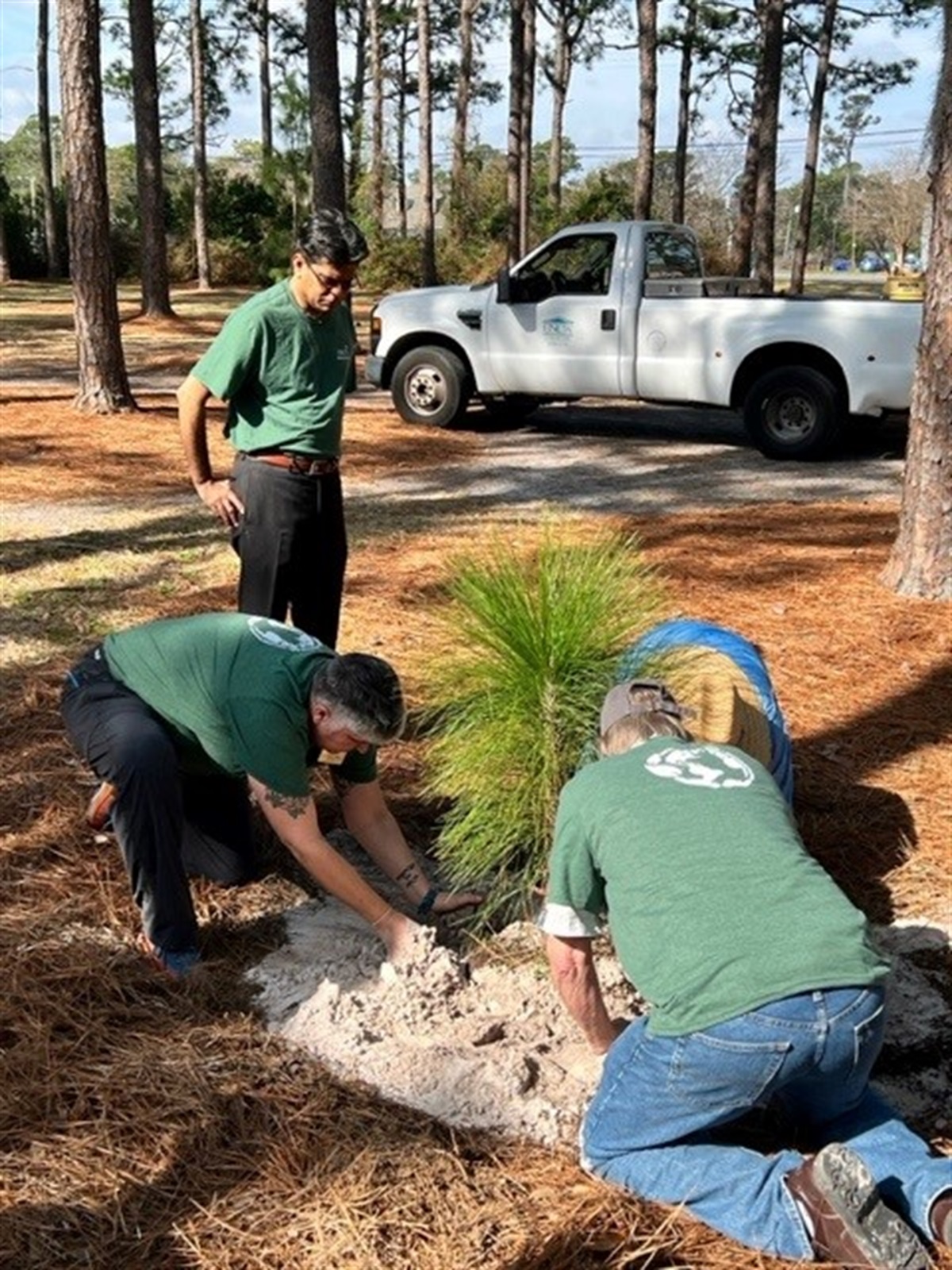 Many Native Trees Planted at UNCW - Wilmington, NC